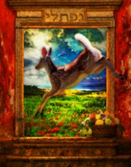 Description of the tribe of Naphtali, Naftali, נַפְתָּלִי ...