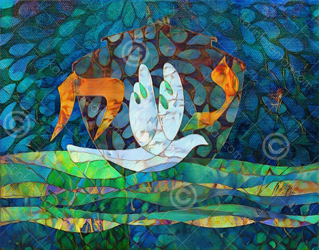 Parashot Illustrations | karinforeman.com