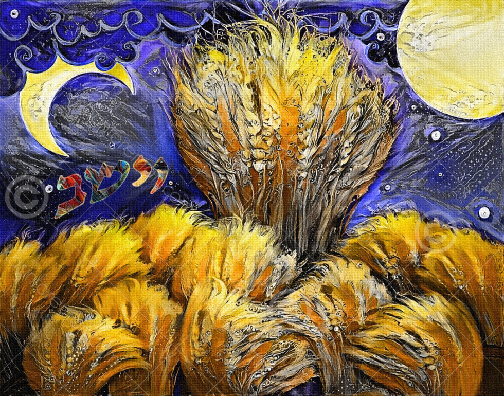 Parashot Illustrations | karinforeman.com